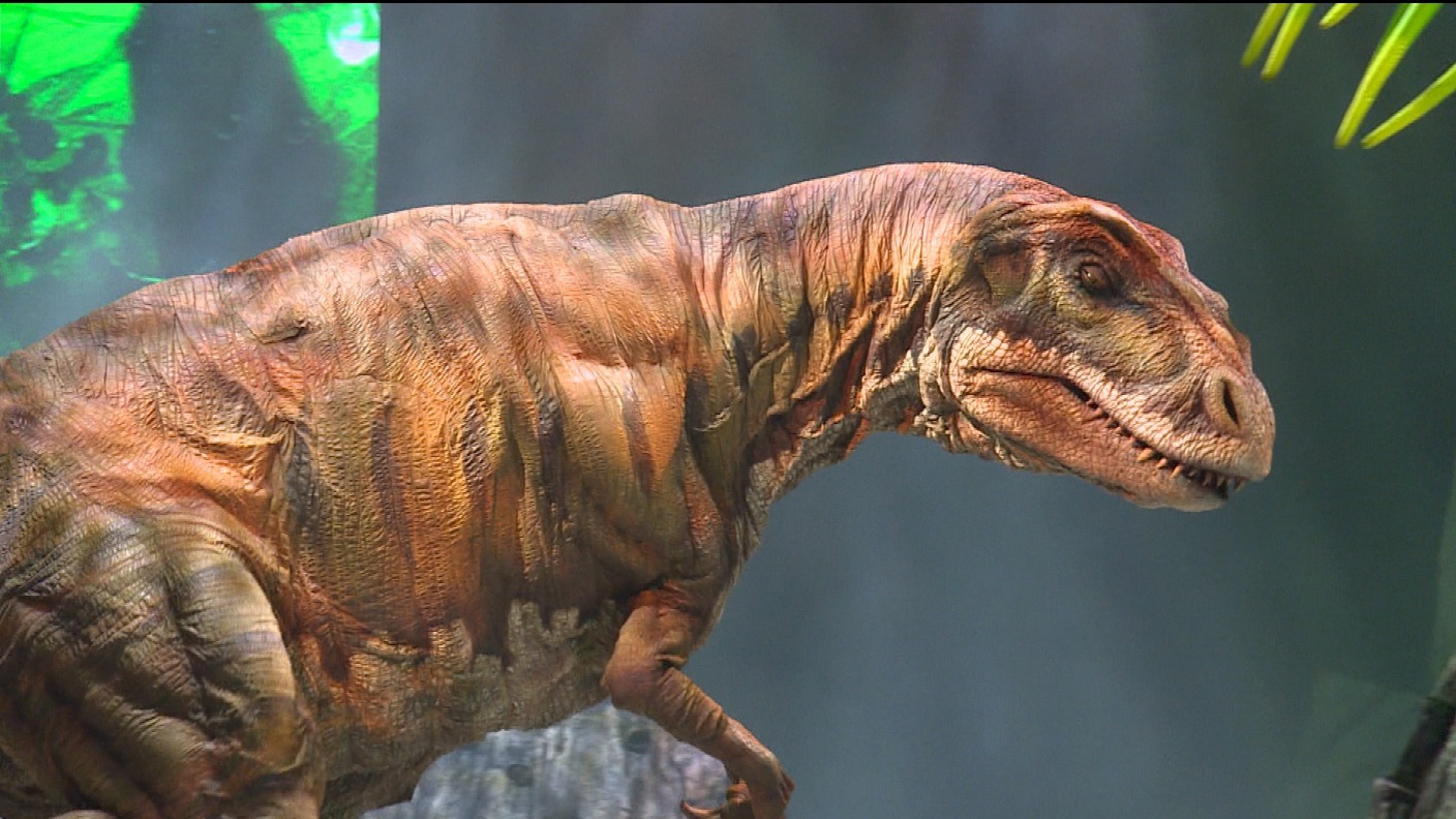 Meet the Jurassic stars of a dinosaur spectacular | ITV News Granada