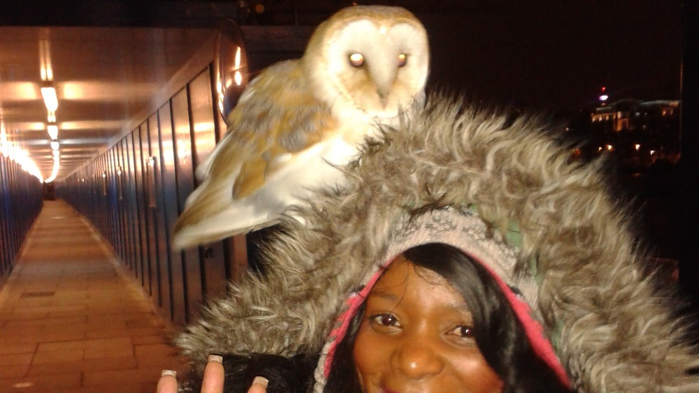 Please help me save the owl | ITV News London