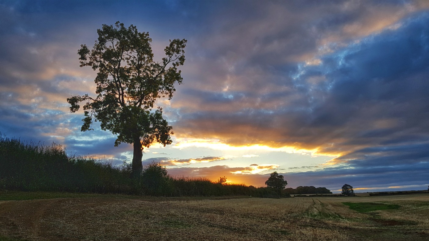 Anglia Weather: A milder start than yesterday, but staying cloudy with ...