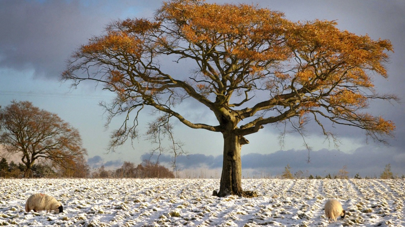 Why snow in October isn't that unusual anymore | ITV News