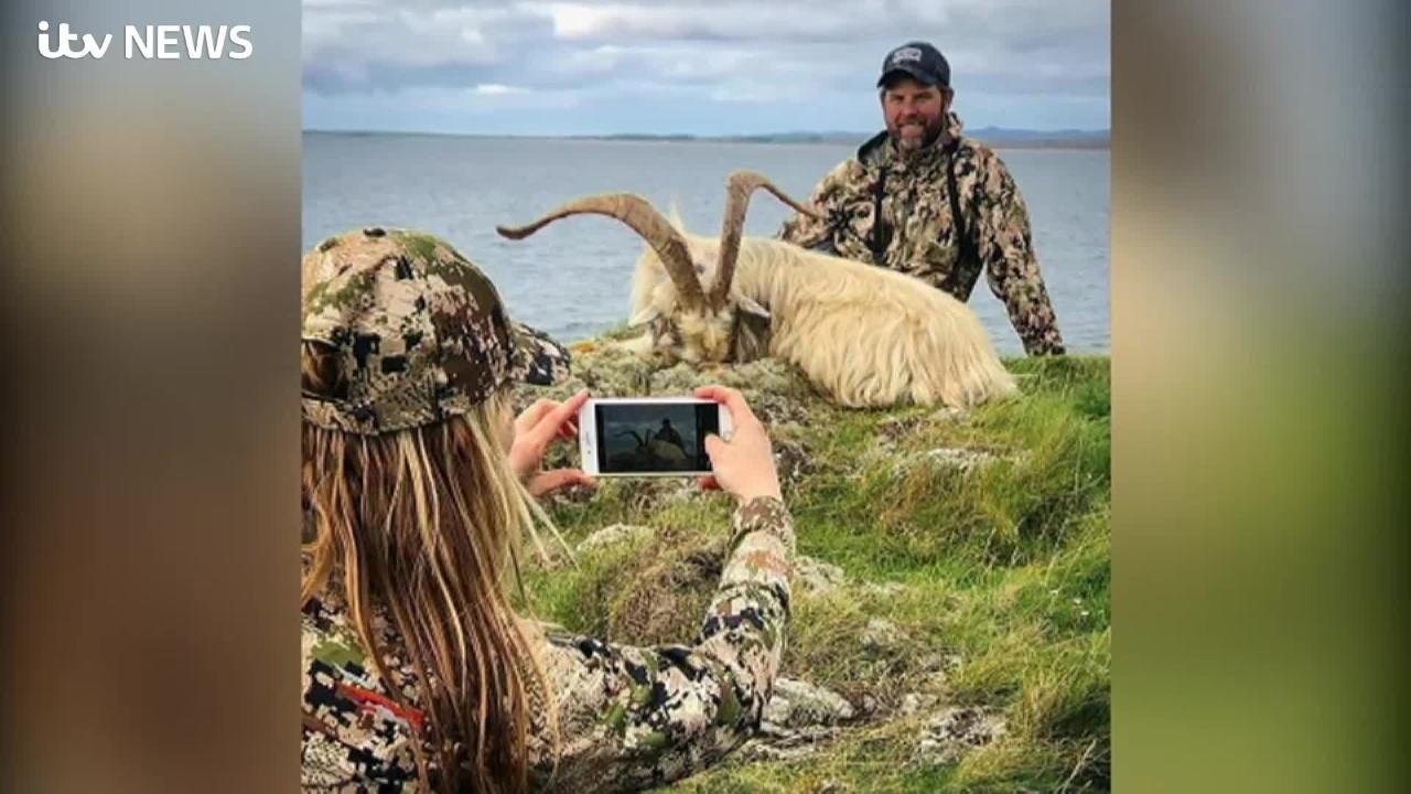 American 'professional huntress' sparks outrage posing with dead goat ...