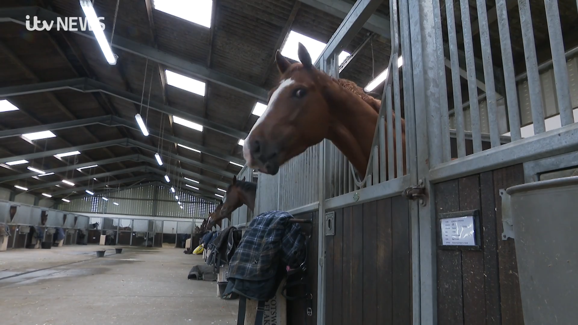 How Park House Stables near Newbury prepared its race horses for Royal ...