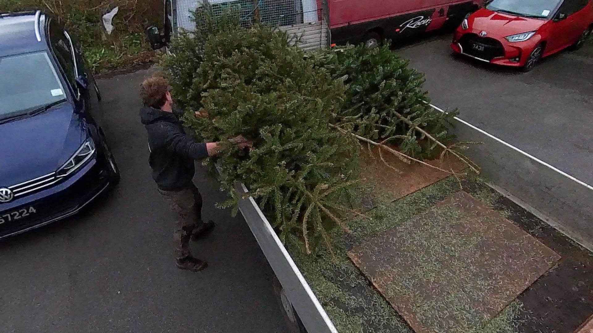 'Busiest year yet' for Guernsey charity turning trees into woodchip ...