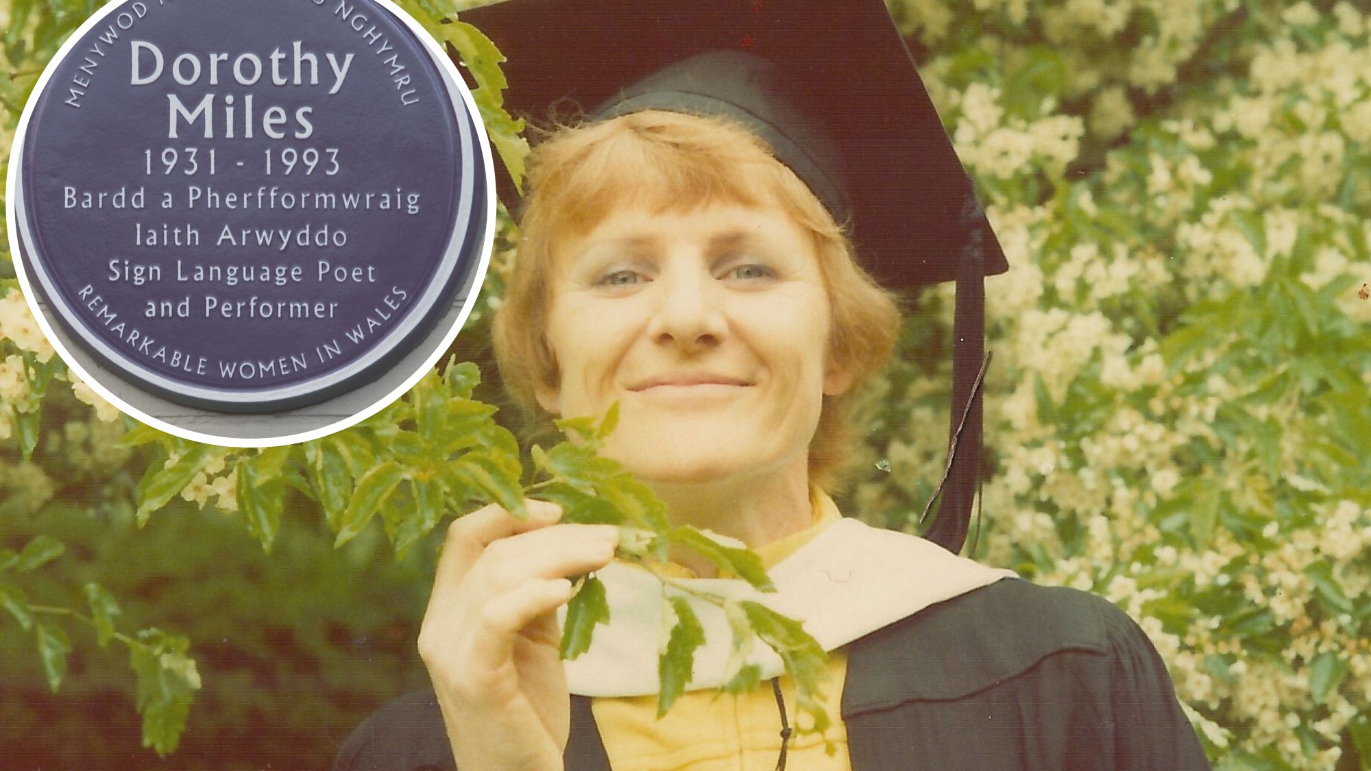 ITV News : The Latest Sign Language News