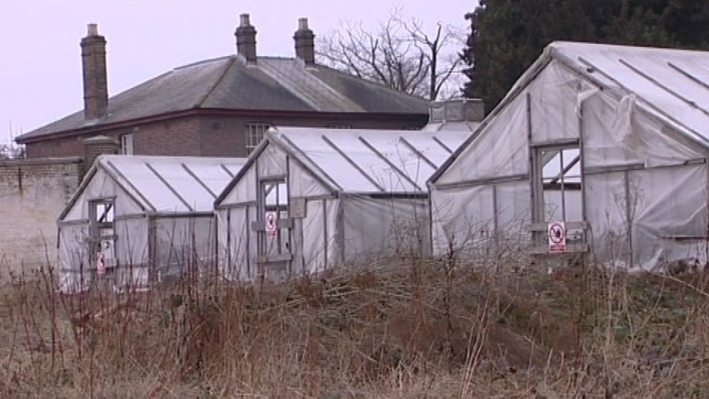 Luton Hoo greenhouses to be restored to former glory | ITV News Anglia