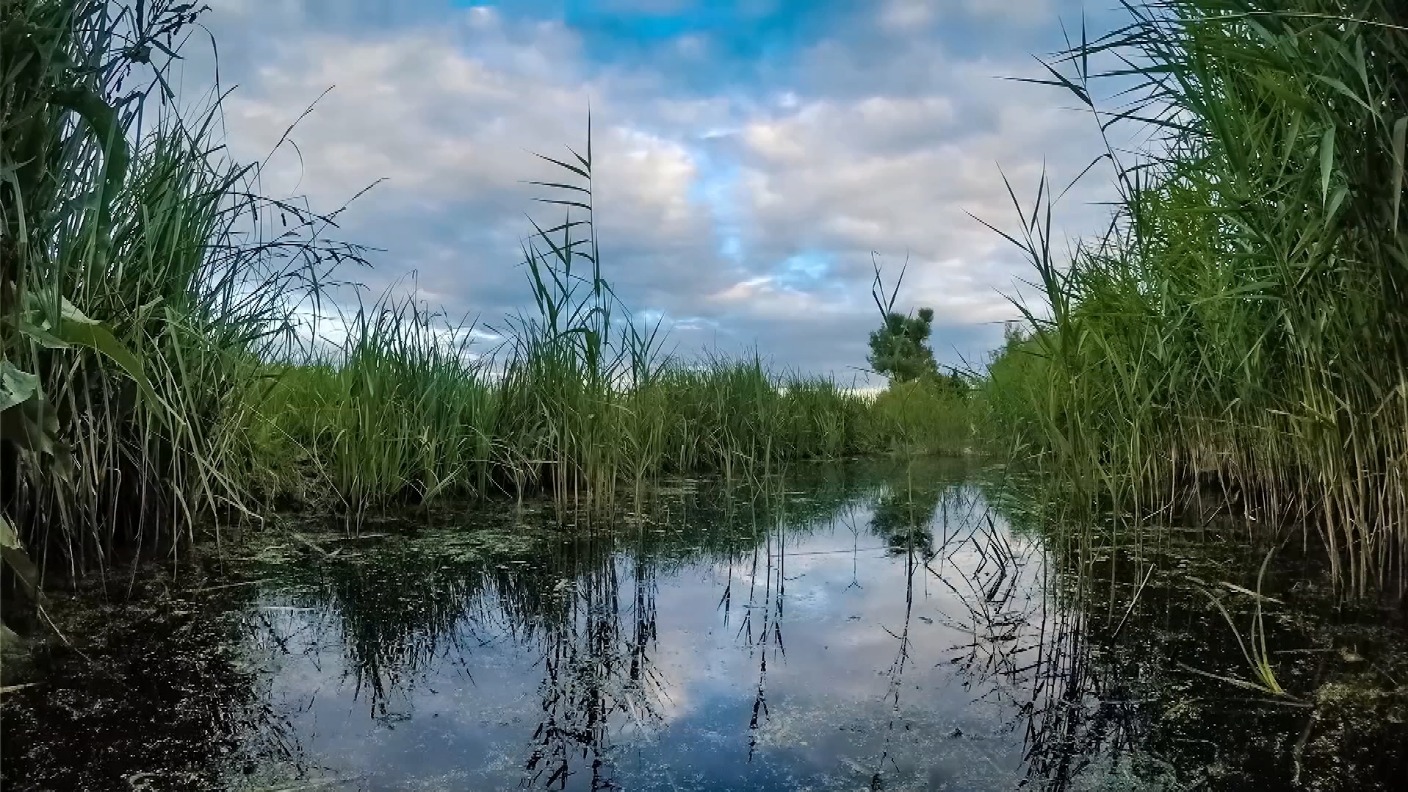 Devolution and the environment: A greener union? | ITV News