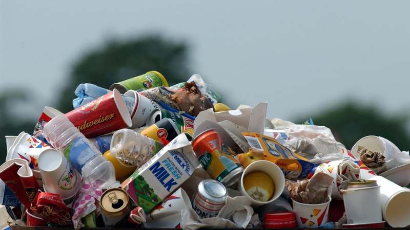 Reduced resources in environmental health departments ‘putting public ...