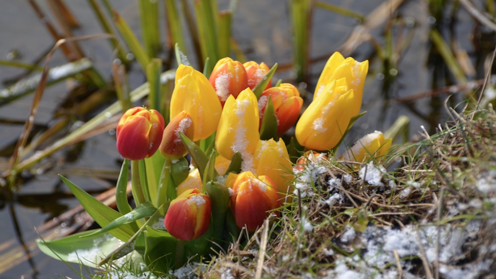 Less cold today | ITV News Central