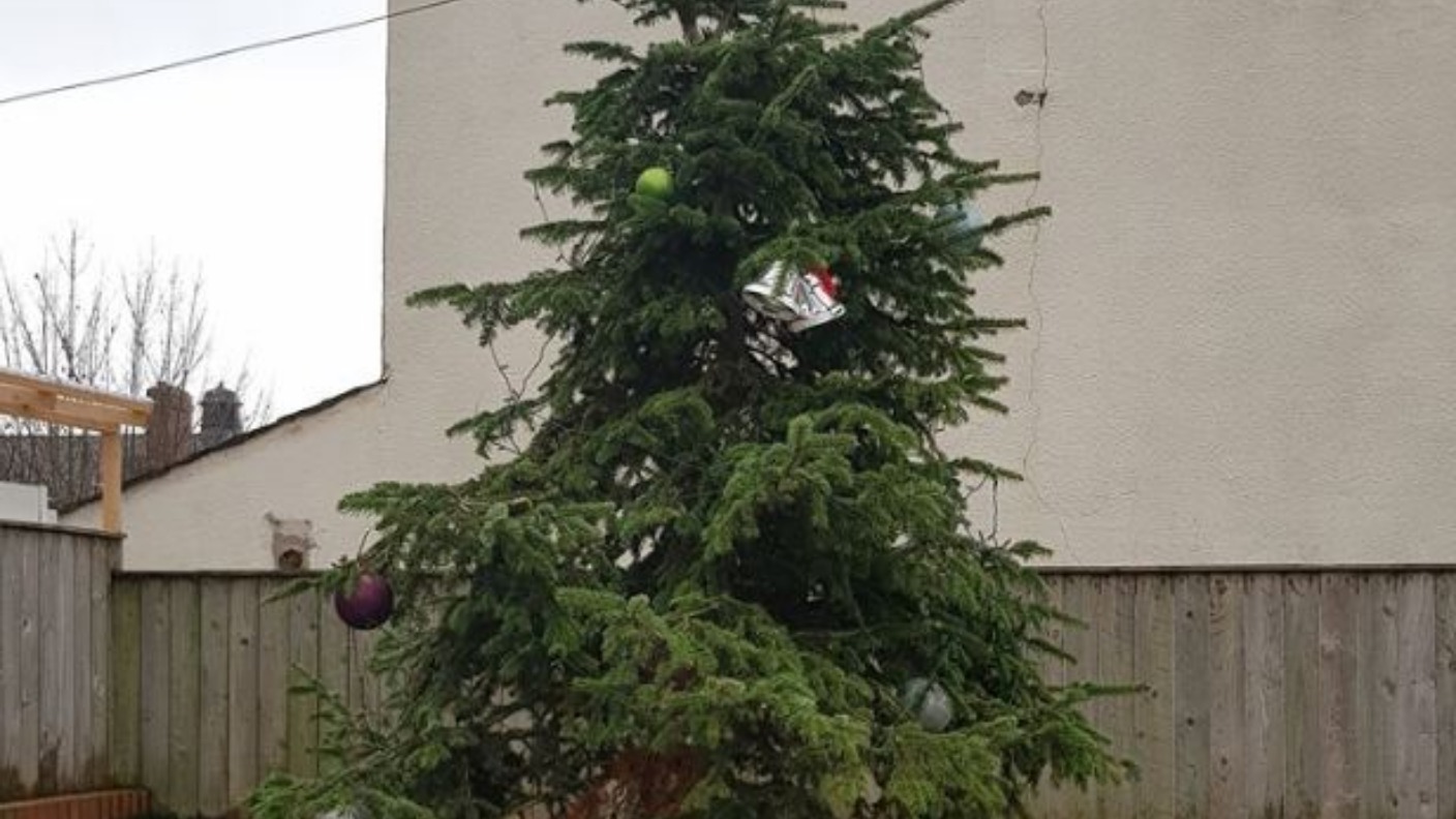 'Britain's worst Christmas tree' isn't finished yet, say council bosses ...