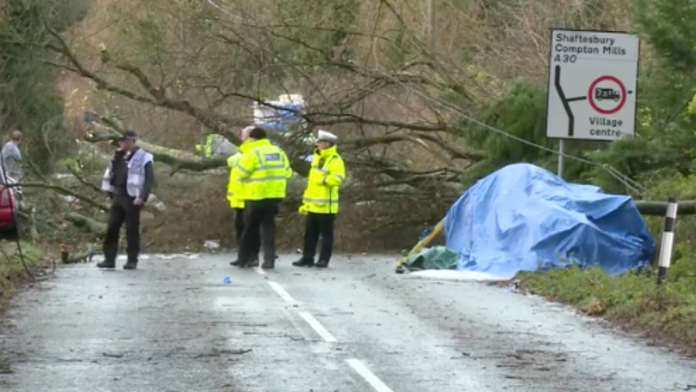 Car struck by tree and falling cables on A30 | ITV News Meridian