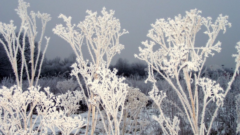 Welcome to spring | ITV News Central