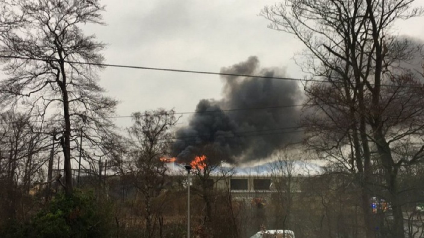 Chester Zoo staff working to locate all animals after Monsoon Forest ...