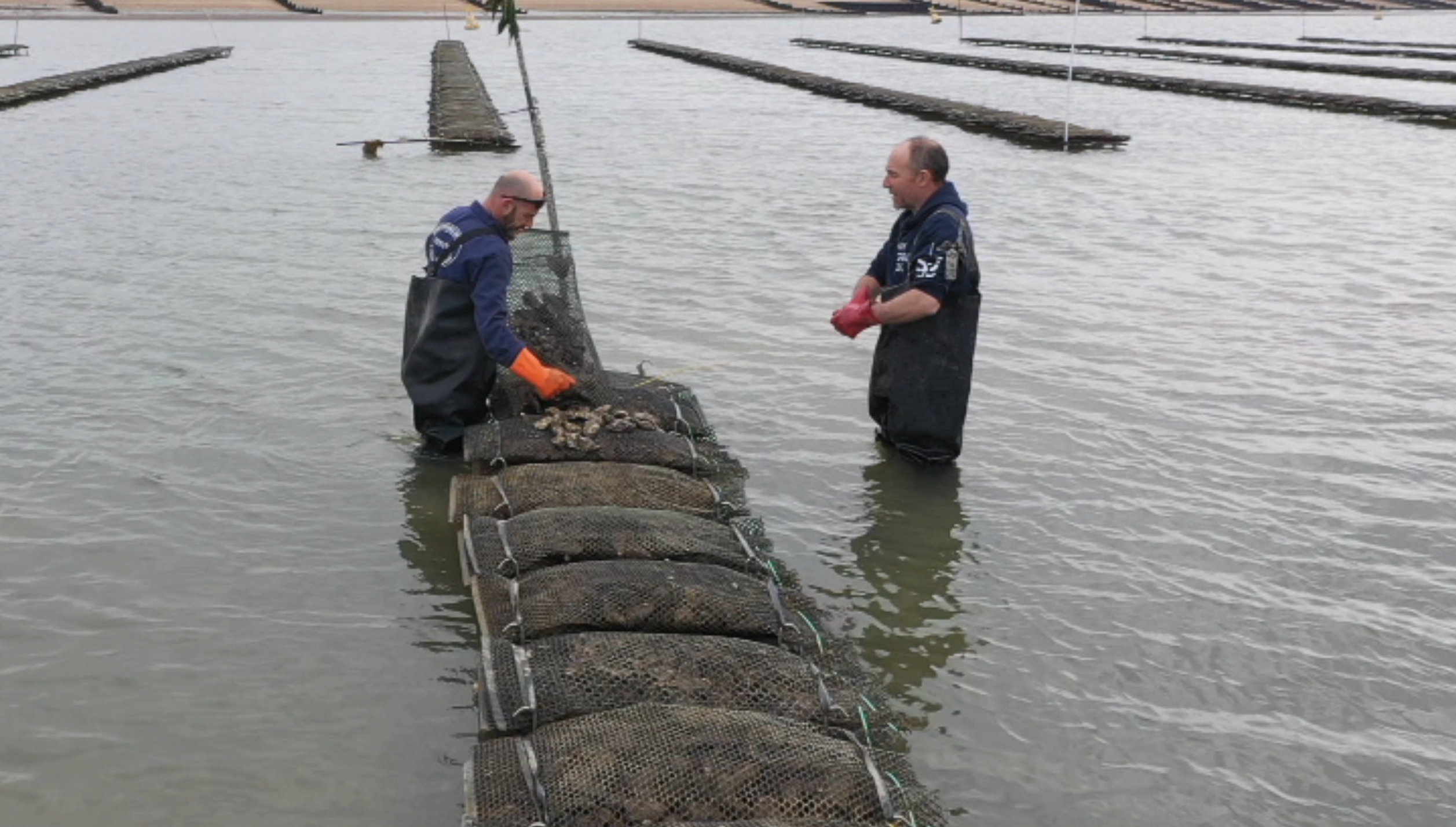 "They said free-trade, this is no trade": Calls for compensation over ...