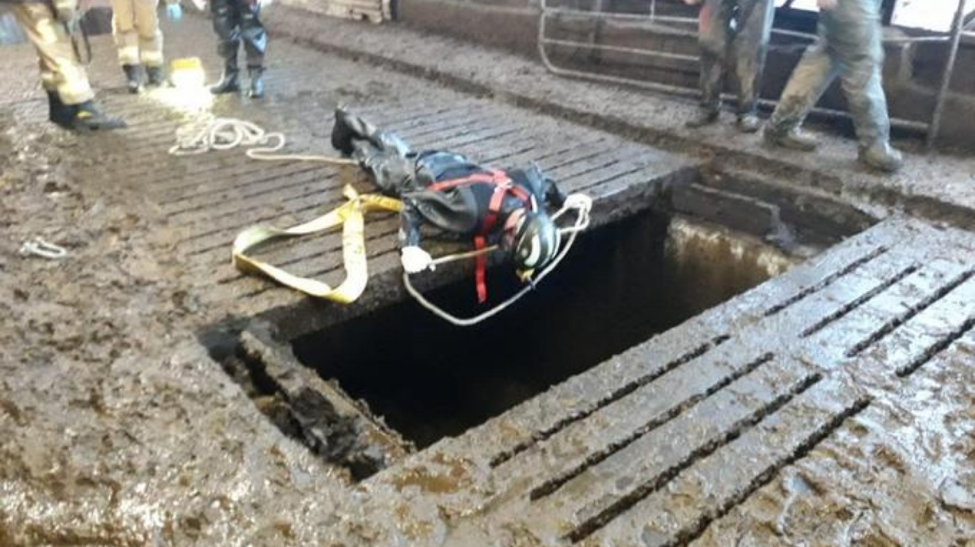 Three cows up to their neck in slurry rescued after falling into tank ...
