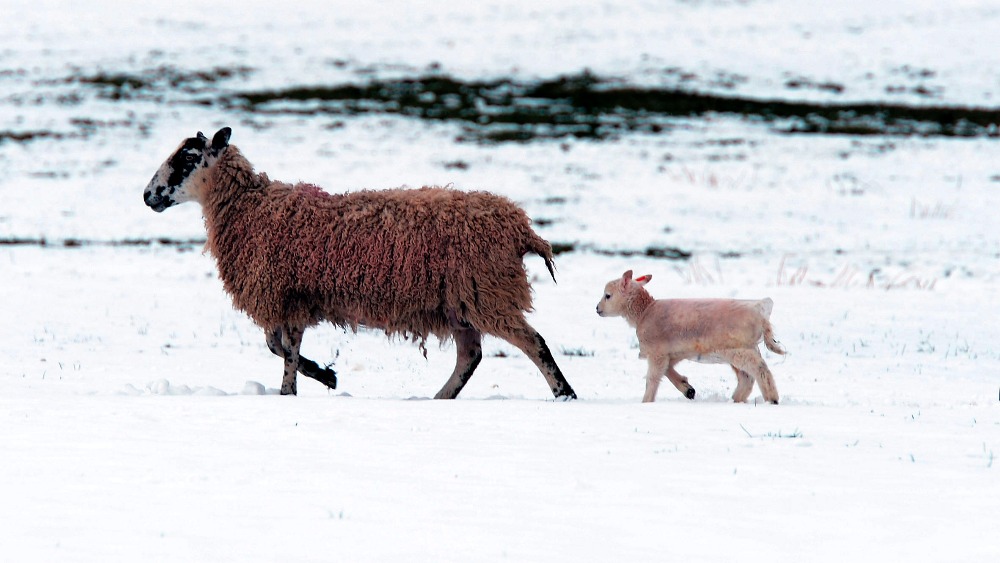 With just a few days to go, this could be the coldest March on record ...