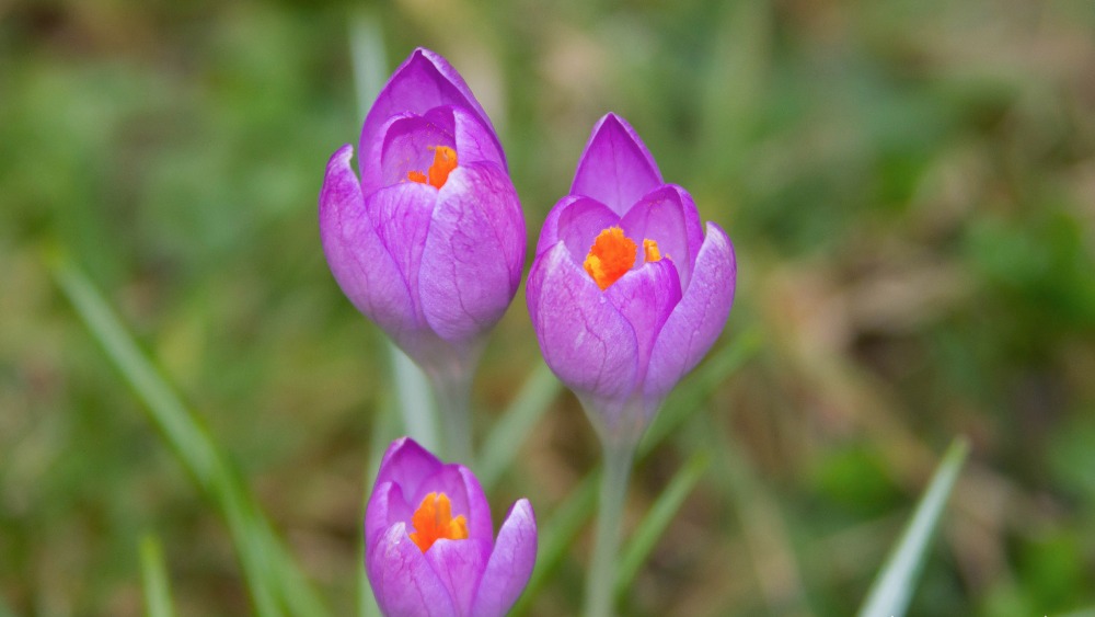 Staying cold this week | ITV News Central