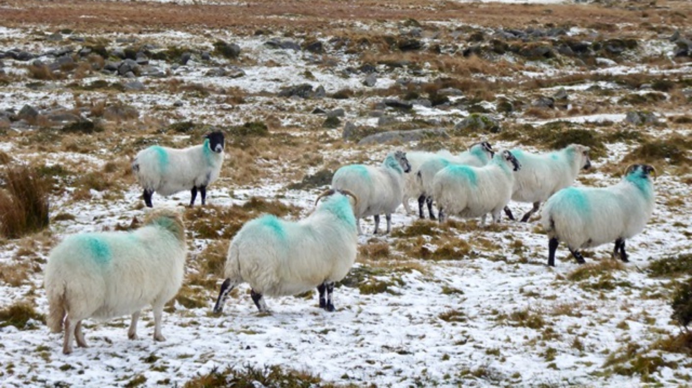 When will it next snow in the West Country? | ITV News West Country