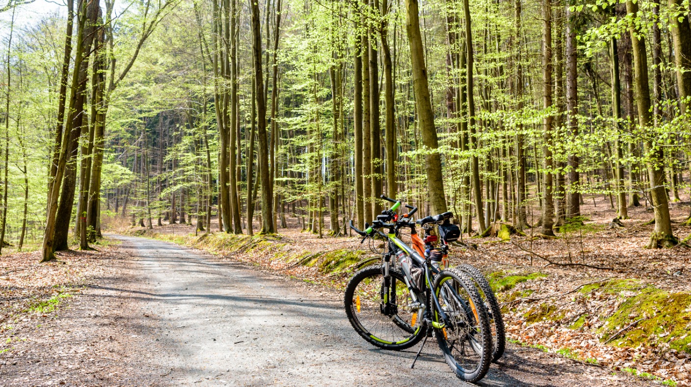 World class mountain bike bid | ITV News Border