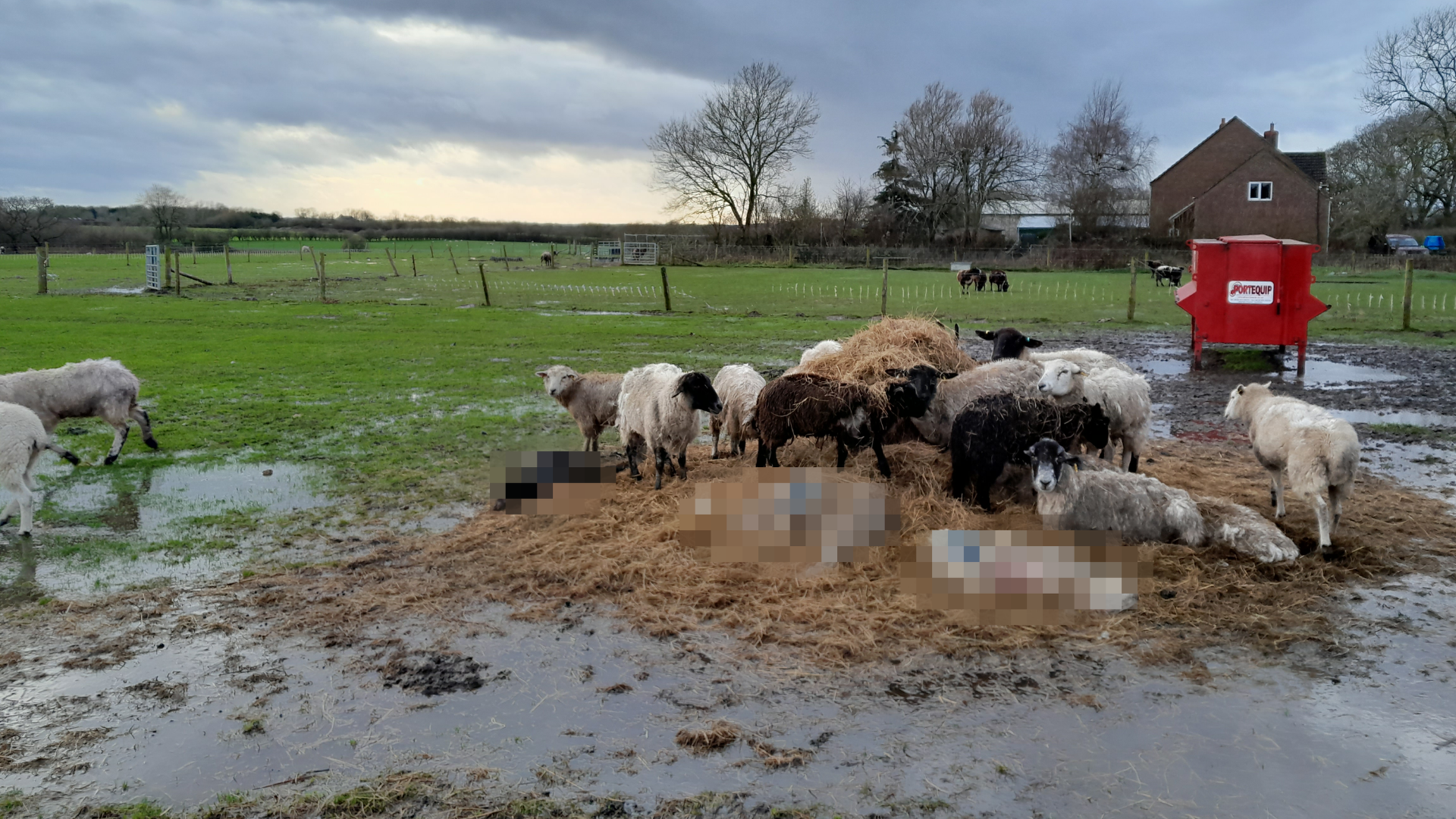 Market Rasen farmer sentenced after dead animals found scattered ...