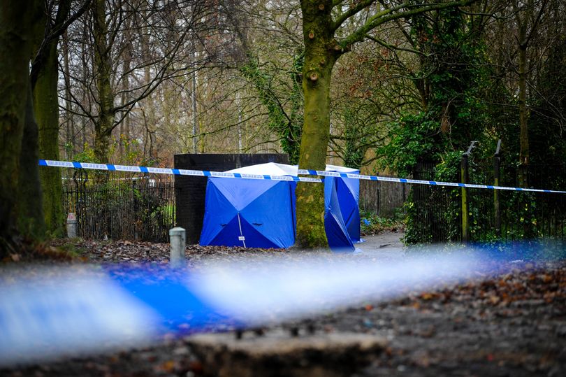 Murder investigation after man fatally stabbed near park in Salford ... Murder investigation after man fatally stabbed near park in Salford ...