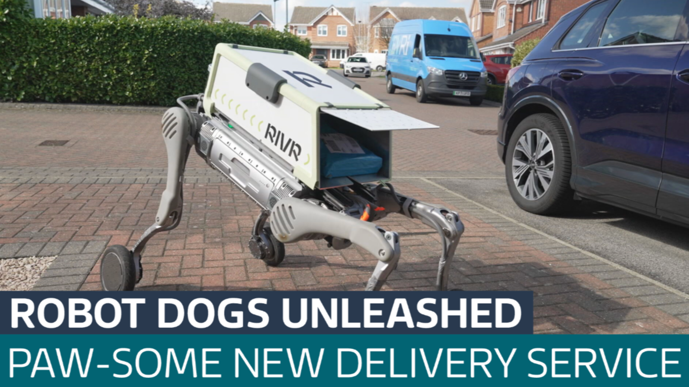 Robo-dogs unleashed in South Yorkshire town - Latest From ITV News