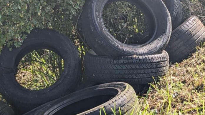 Clean-up operation underway after fly-tipper dumps dozens of tyres in ...