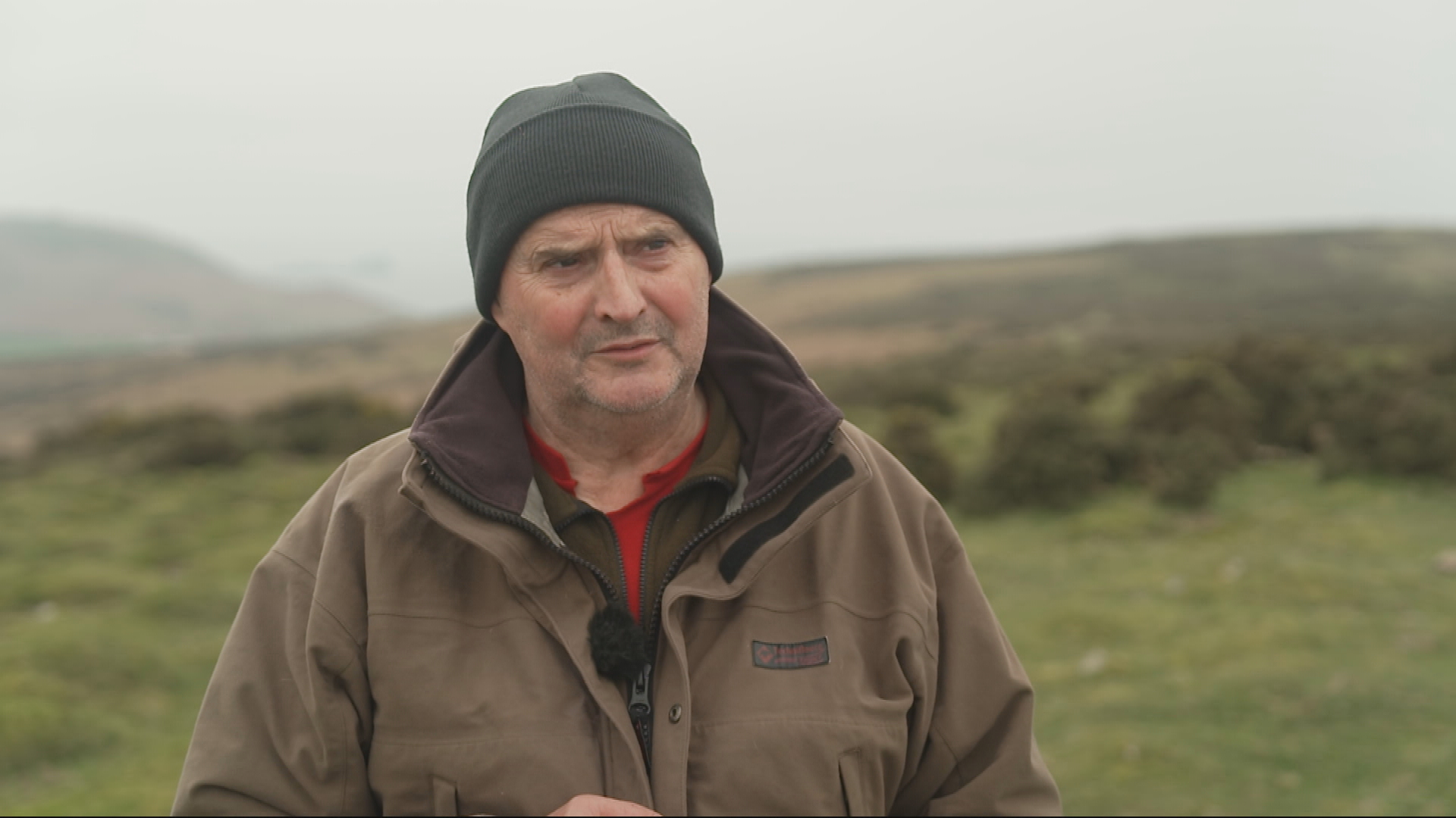 Farmer who lost 20 lambs to dog attacks says 'enough is enough' | ITV ...