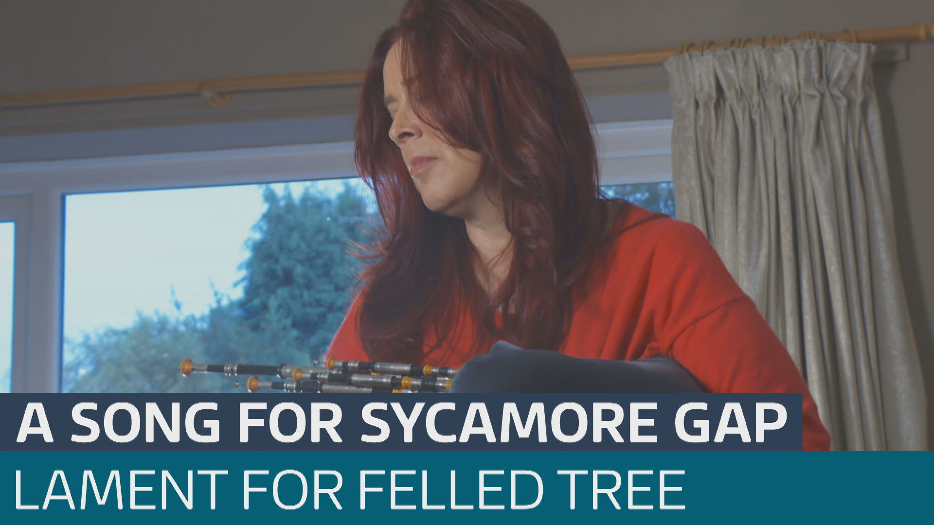 Memories of Sycamore Gap tree captured in music - Latest From ITV News