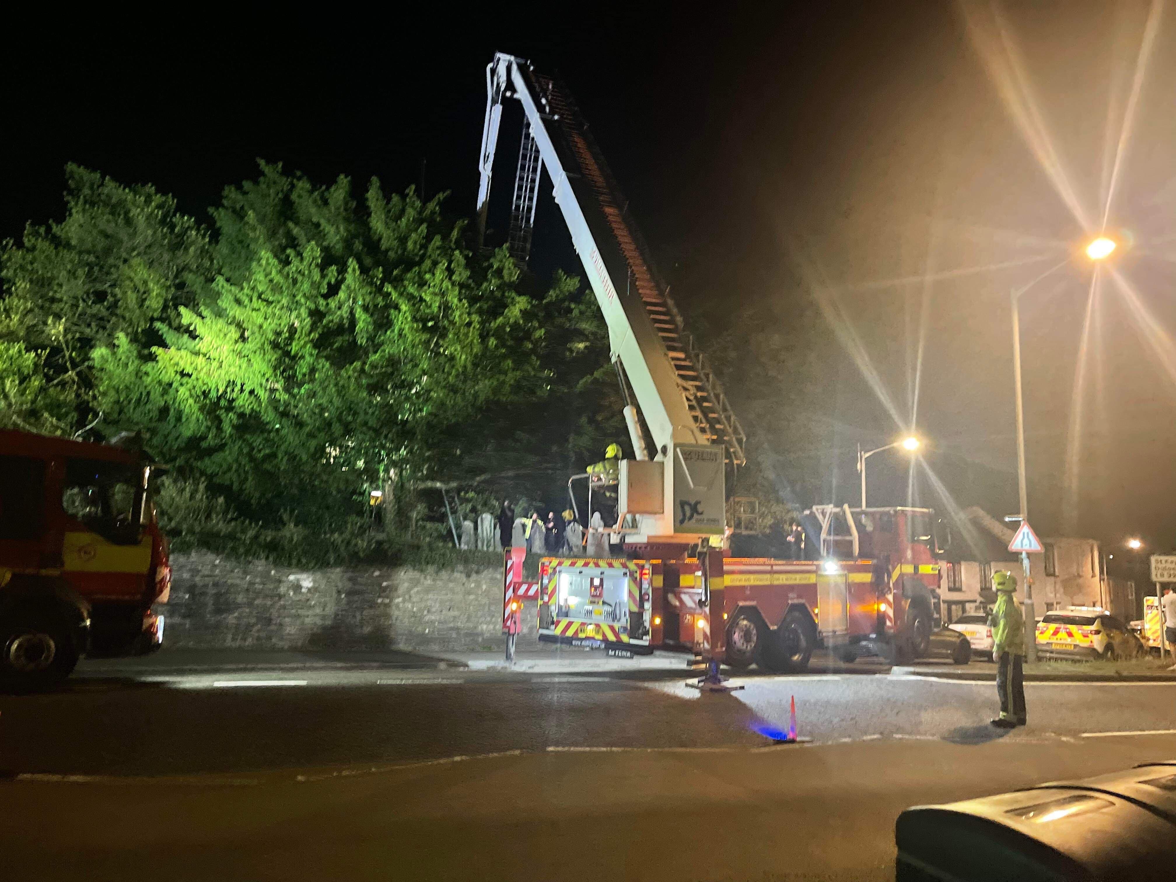 Arrest after man hid from police in Bodmin tree for four hours | ITV ...