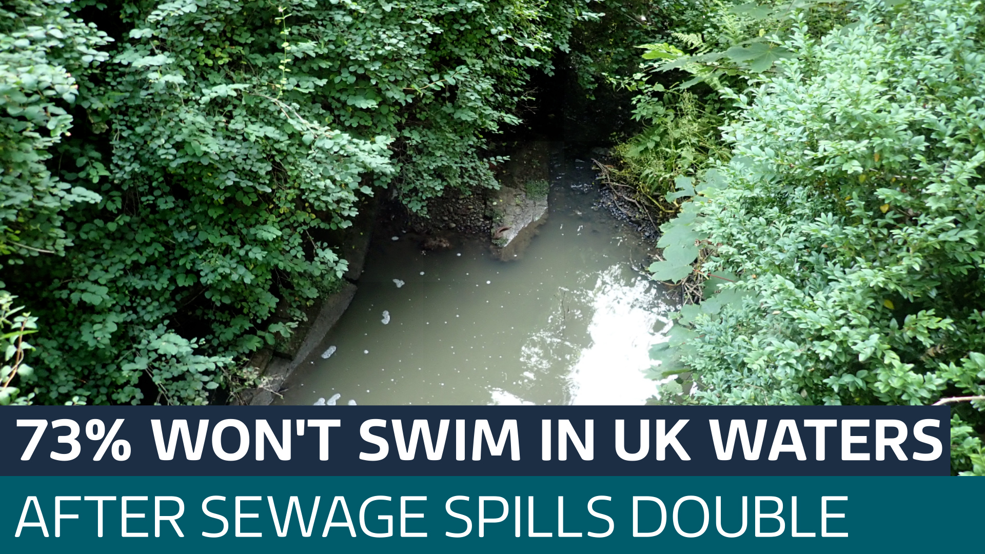 Survey: 73% of adults don't want to swim in UK waters due to sewage ...