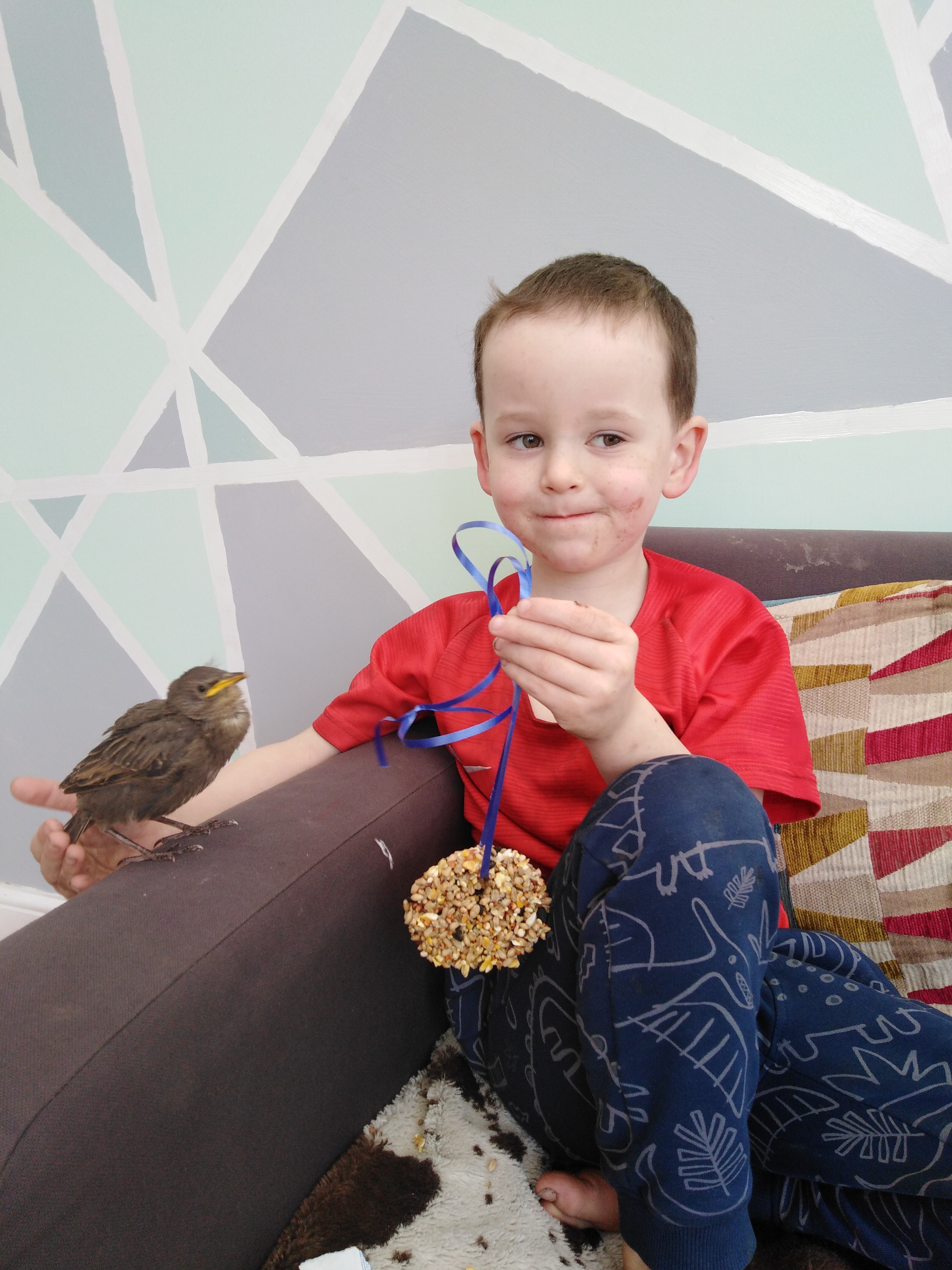 Boy thanked by RSPB for raising baby starling during lockdown | ITV ...