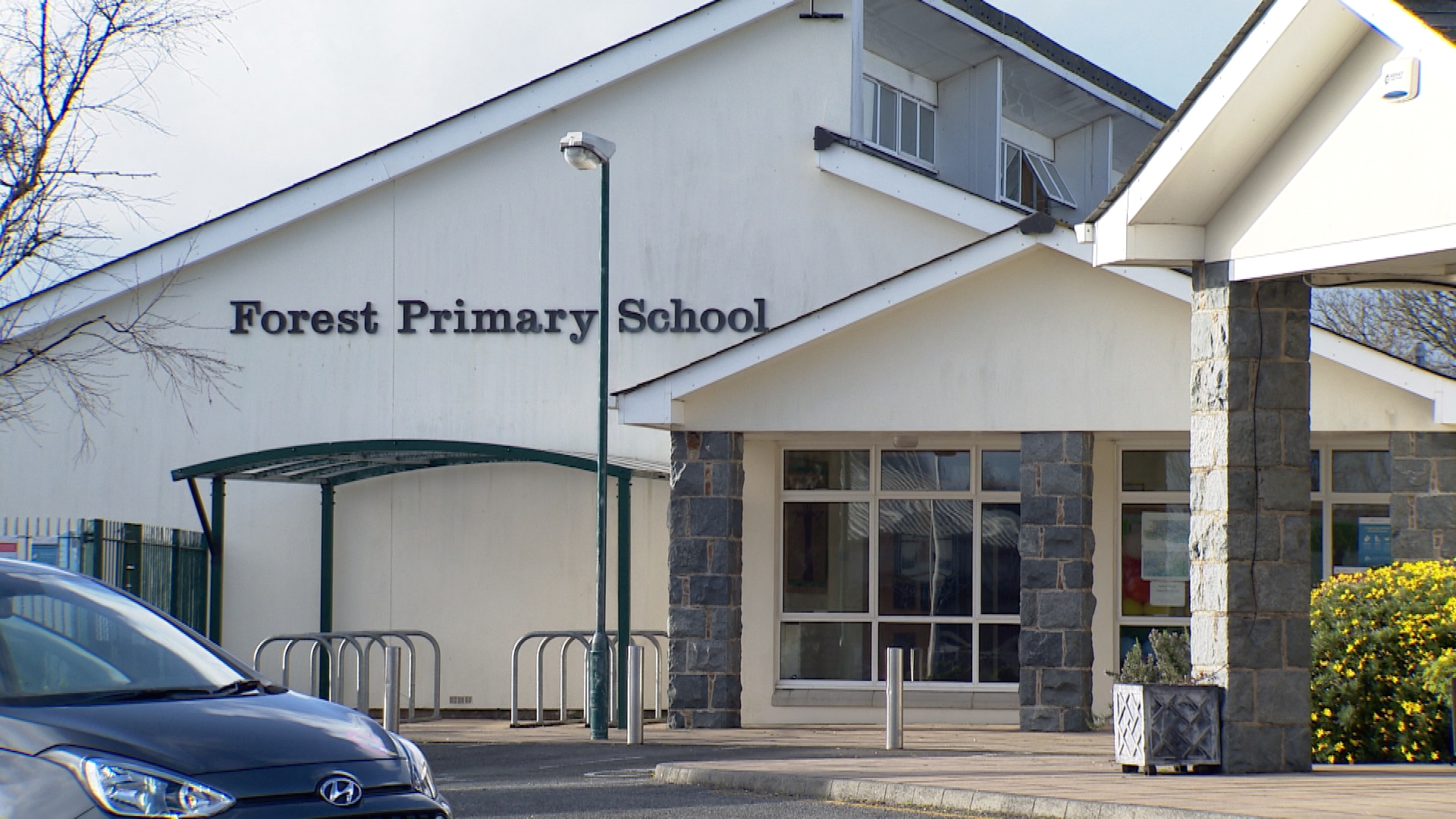 Forest School to become Guernsey's new base for children with ...
