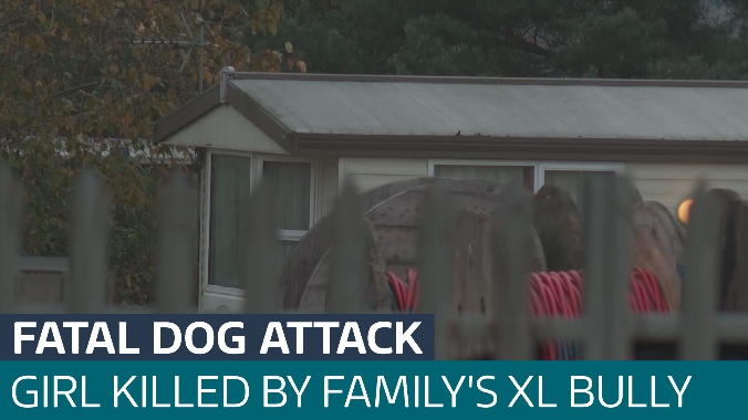 Ten-year-old Savannah Bentham fatally injured by dog after being left ...