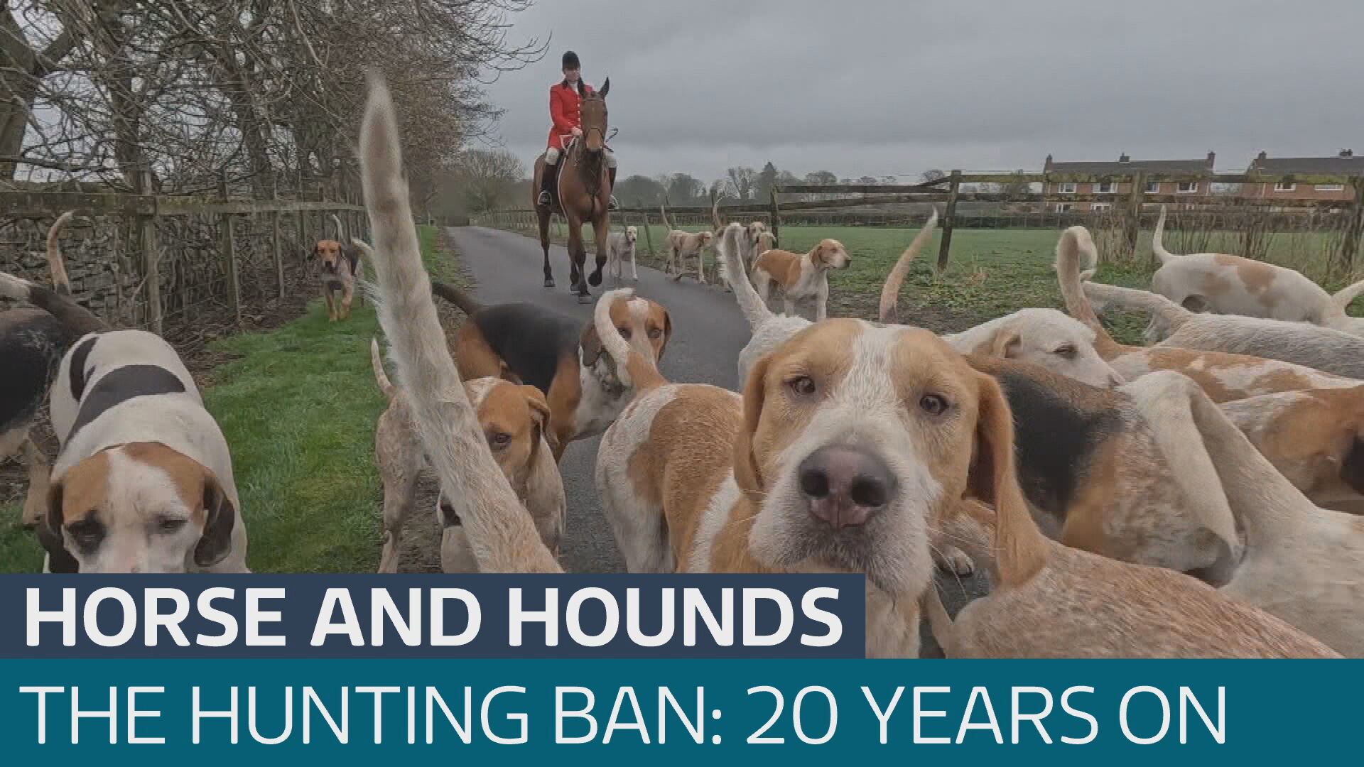 The Hunting Ban: 20 years on - Latest From ITV News