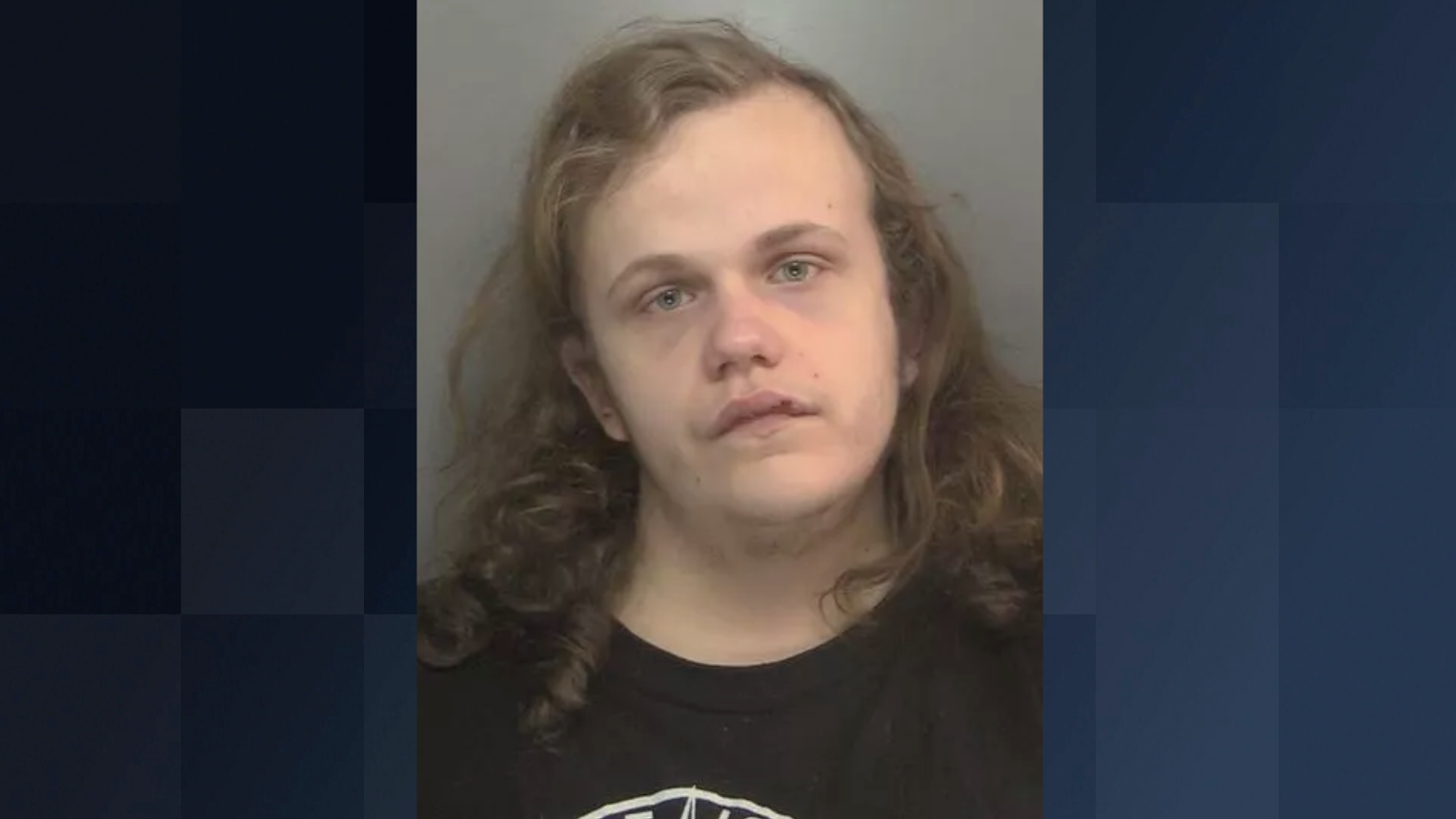 Violent teenager jailed for his part in 'racially hostile' attack in ...