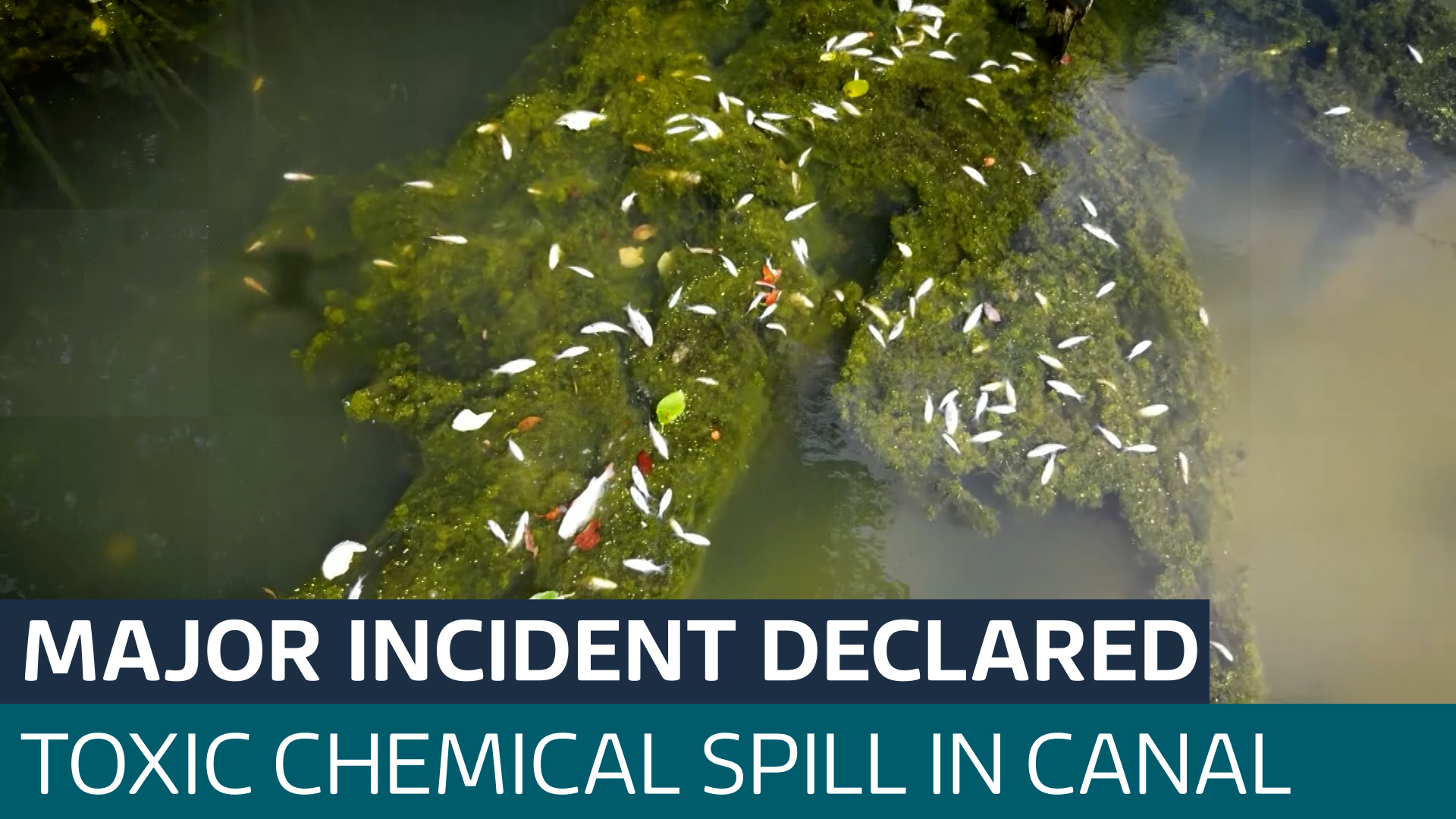 Major incident declared after sodium cyanide spill in canal - Latest ...