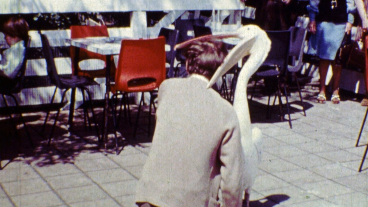 Penscynor: Remembering Percy the Pelican who would fit children's heads ...