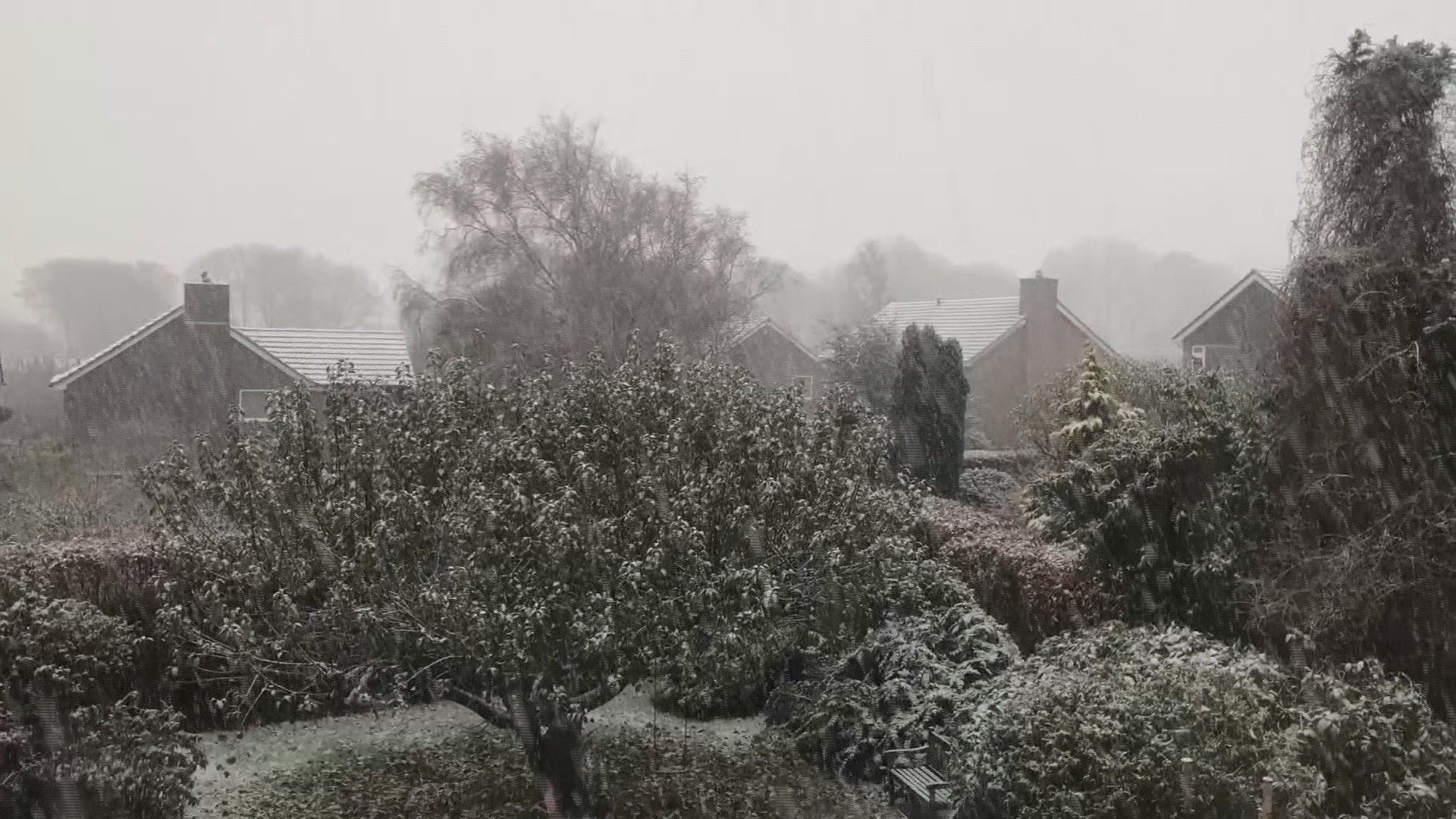 NHS urges Sussex residents to look out for family and friends amid cold ...