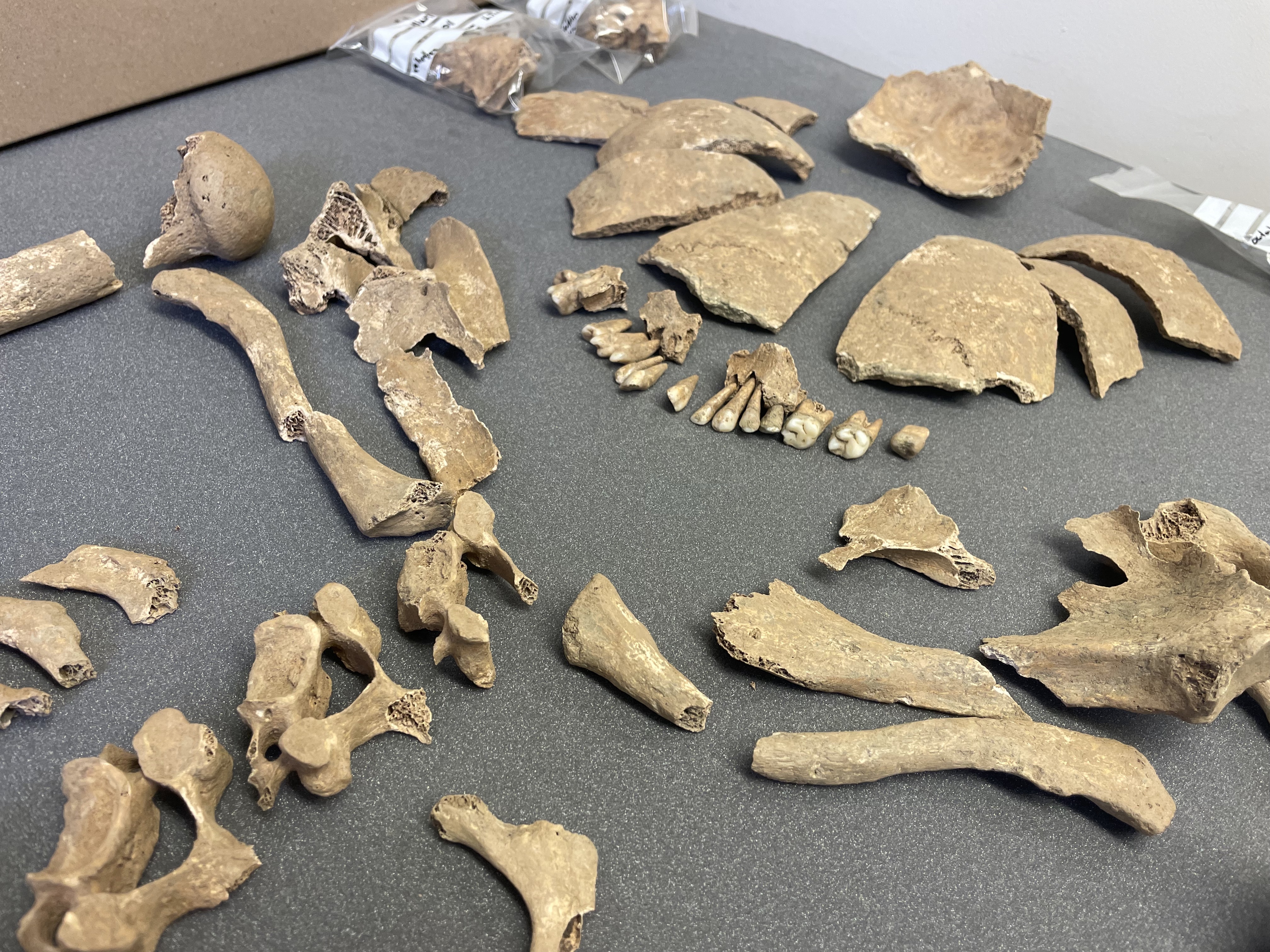 The mystery surrounding the human bones discovered on the Cornish coast ...