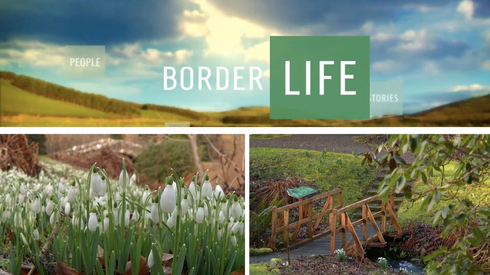 Border Life: First week of spring and botanical gardens | ITV News Border