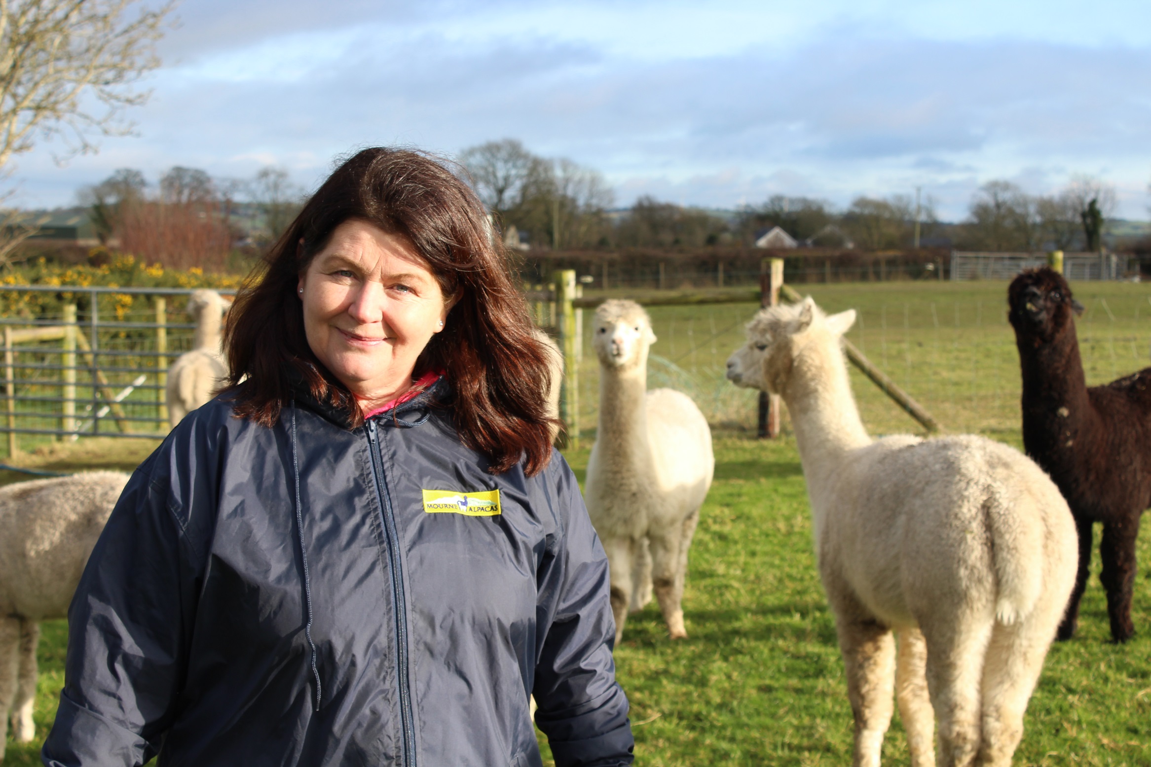 'Rare Breed - A Farming Year' makes return to UTV | UTV | ITV News