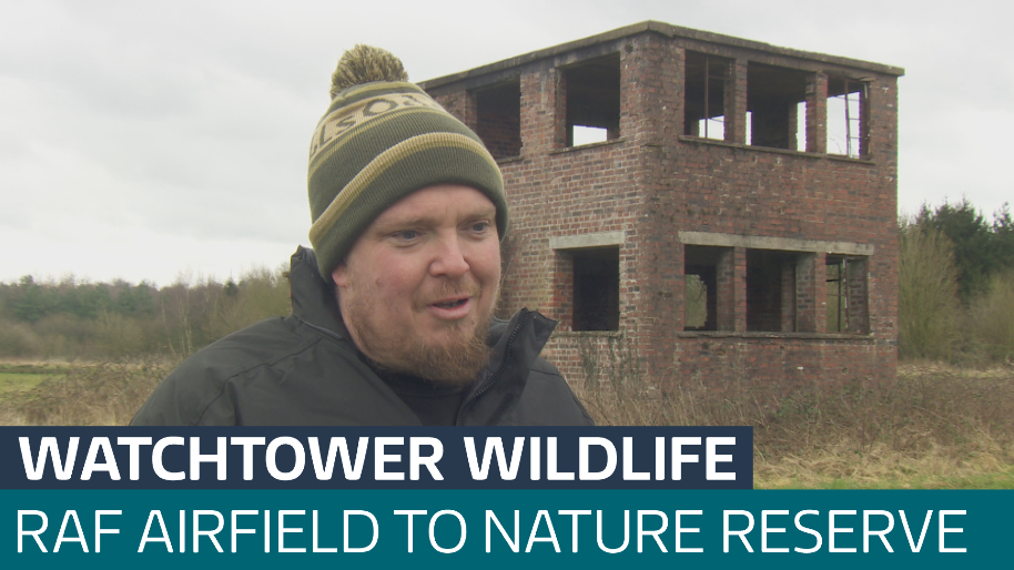 Nature reserve expands taking over former WWII watchtower - Latest From ...