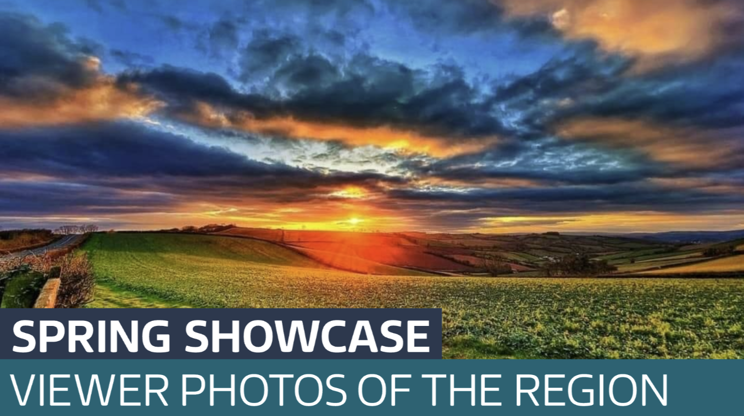 Viewer pictures: Showcase of Spring in the West Country - Latest From ...