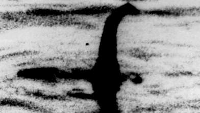 Nessie fans launch biggest hunt in decades for mysterious monster ...