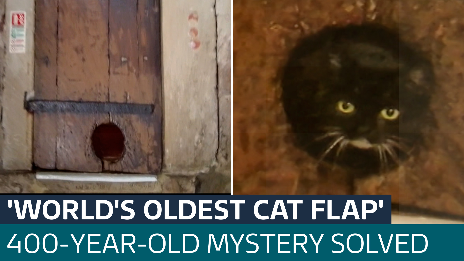 Mystery hole in Exeter Cathedral door thought be 'world's oldest cat ...