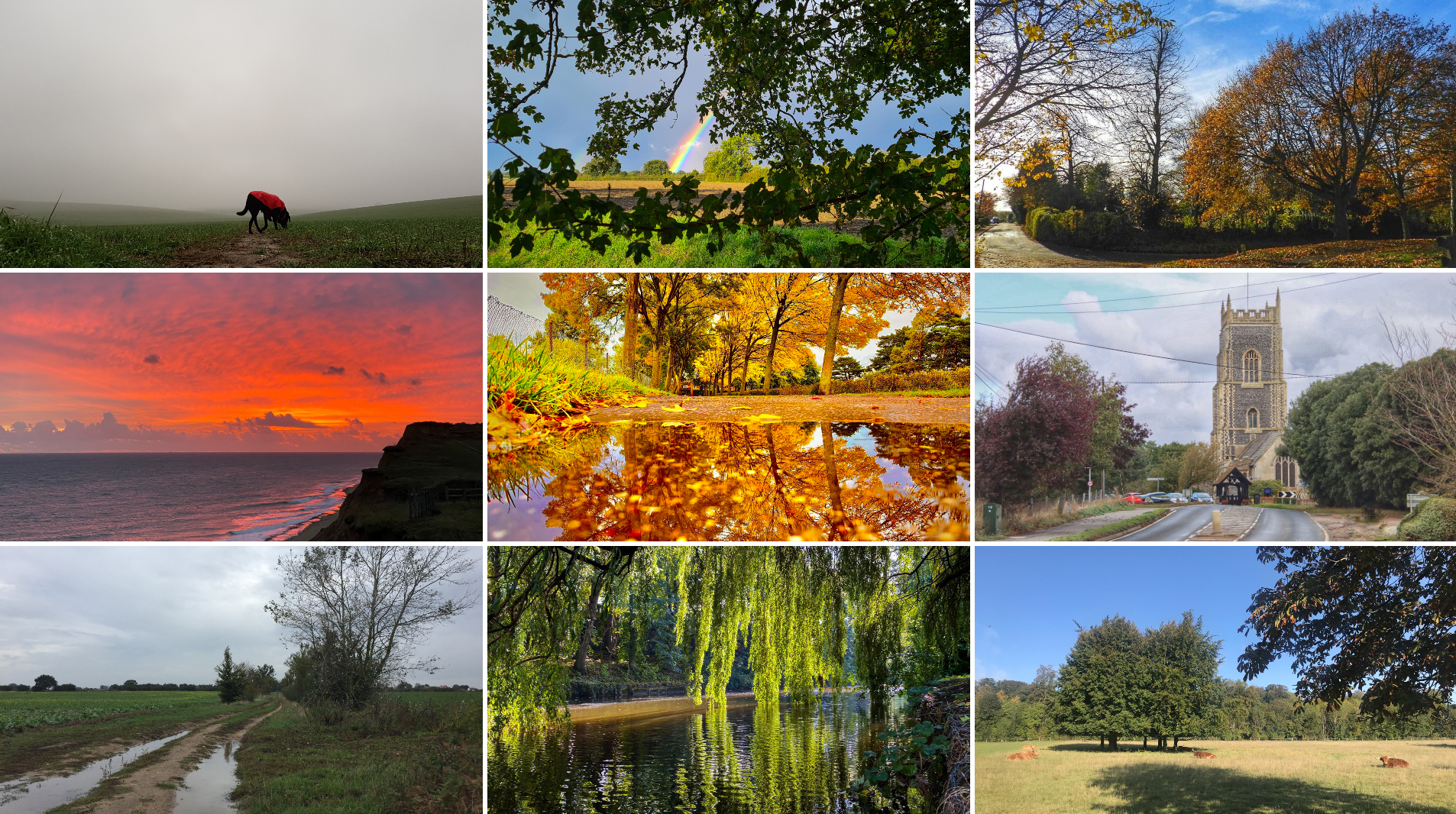 Your weather pictures from around the Anglia region October 2020 | ITV ...