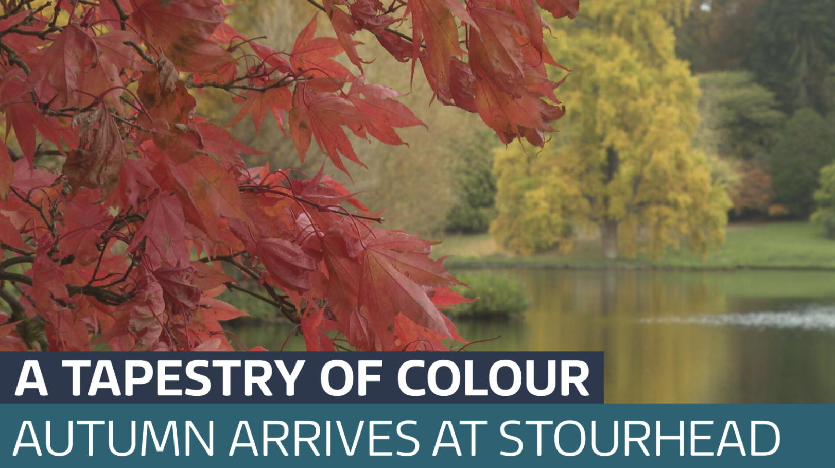An autumnal visit to Stourhead in one of the 'best years yet' for ...