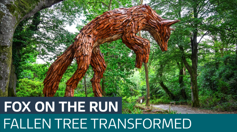 A tree which fell during Storm Darragh has been transformed into a ...