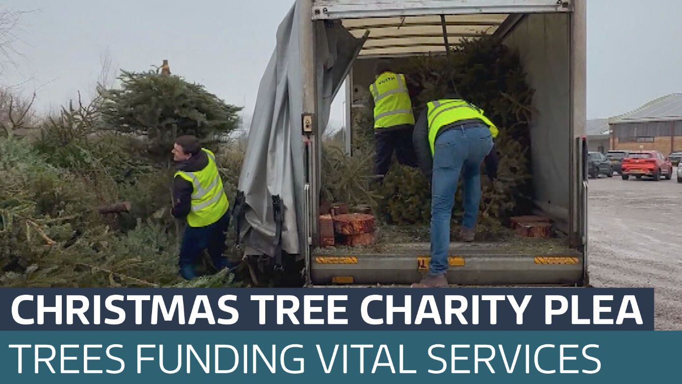 Appeal for discarded Christmas trees to help fund charities - Latest ...