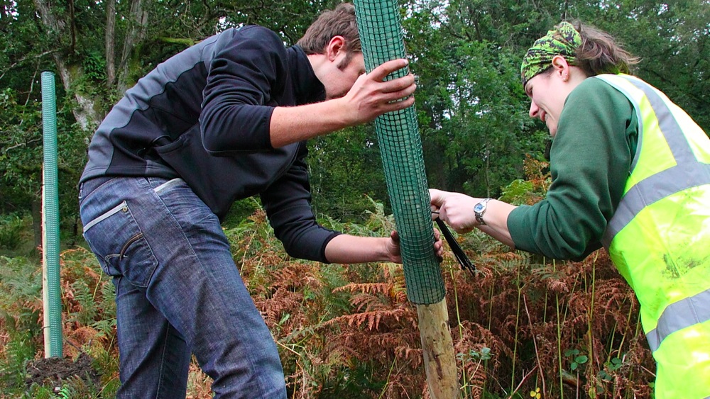 Volunteers needed to restore Cumbrian woodland | ITV News Border